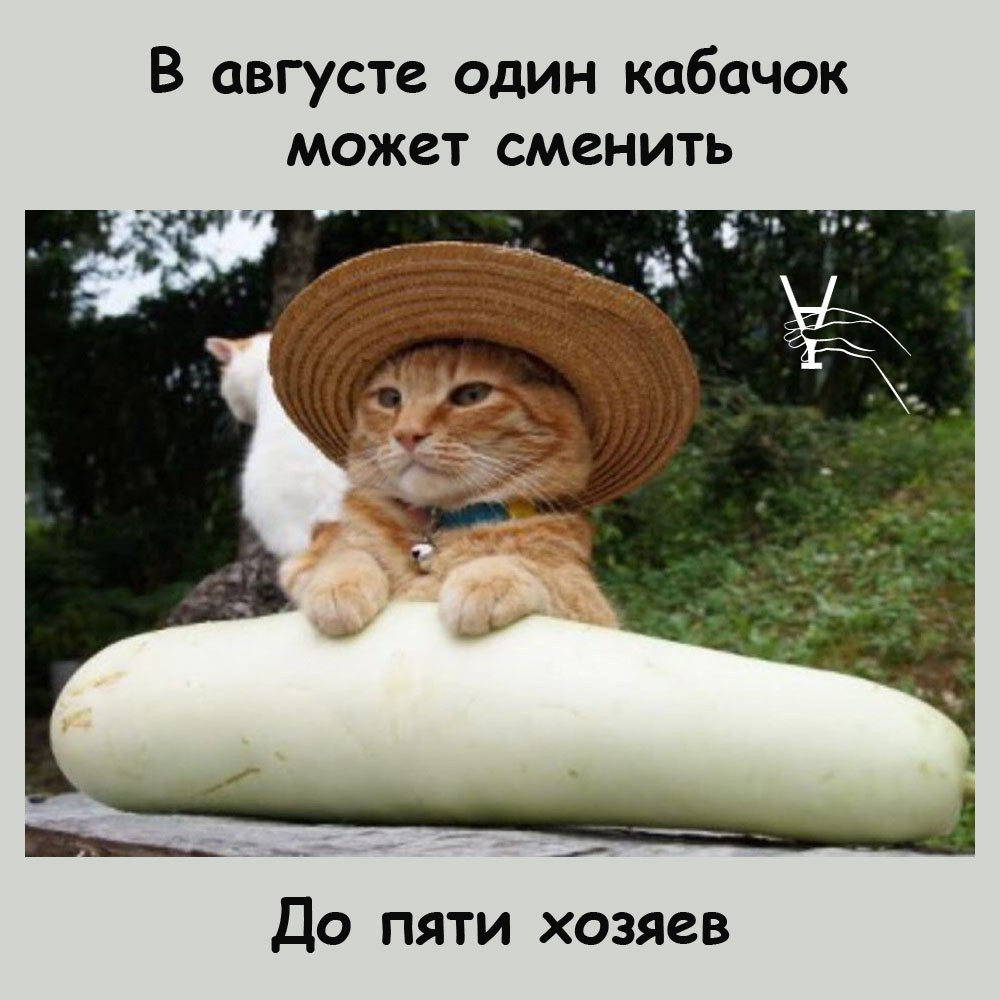 "Мыздобулы" в картинках. Смешных и не очень...09.08.2025 » Страница 4 » E-News.su | Cамые свежие ...